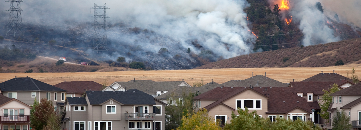 Extreme Wildfires, Distant Air Pollution, and Household Financial Health