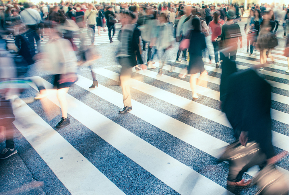 Occupational Mobility Explorer